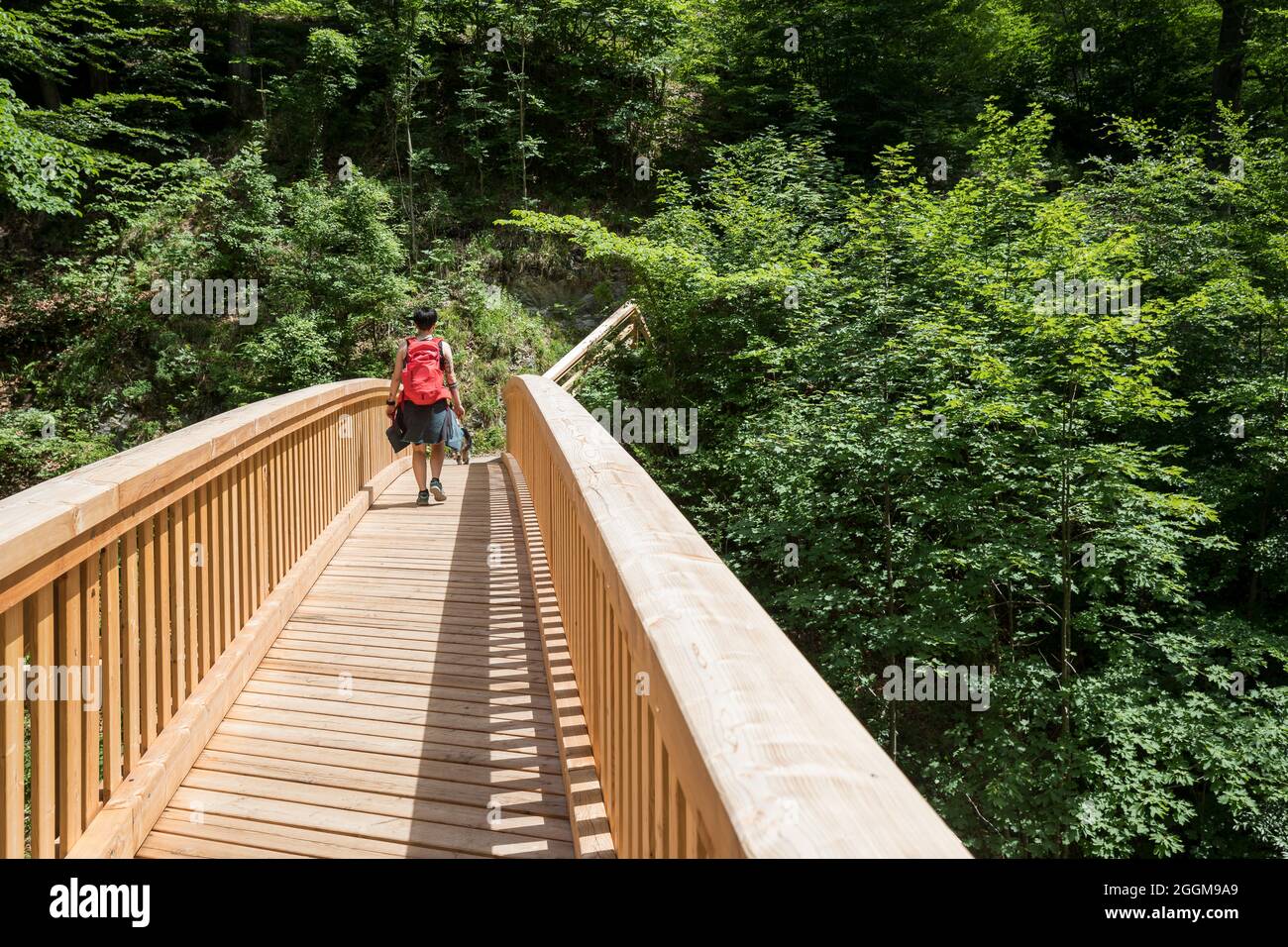 Hiker on the 1st Vienna Water Pipeline Trail, the hiking trail leads in ...