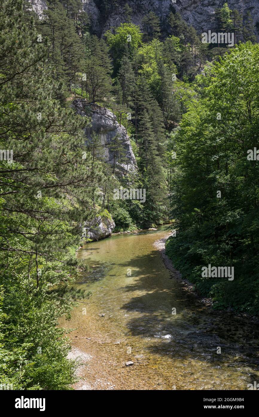 Viennese water hi-res stock photography and images - Alamy