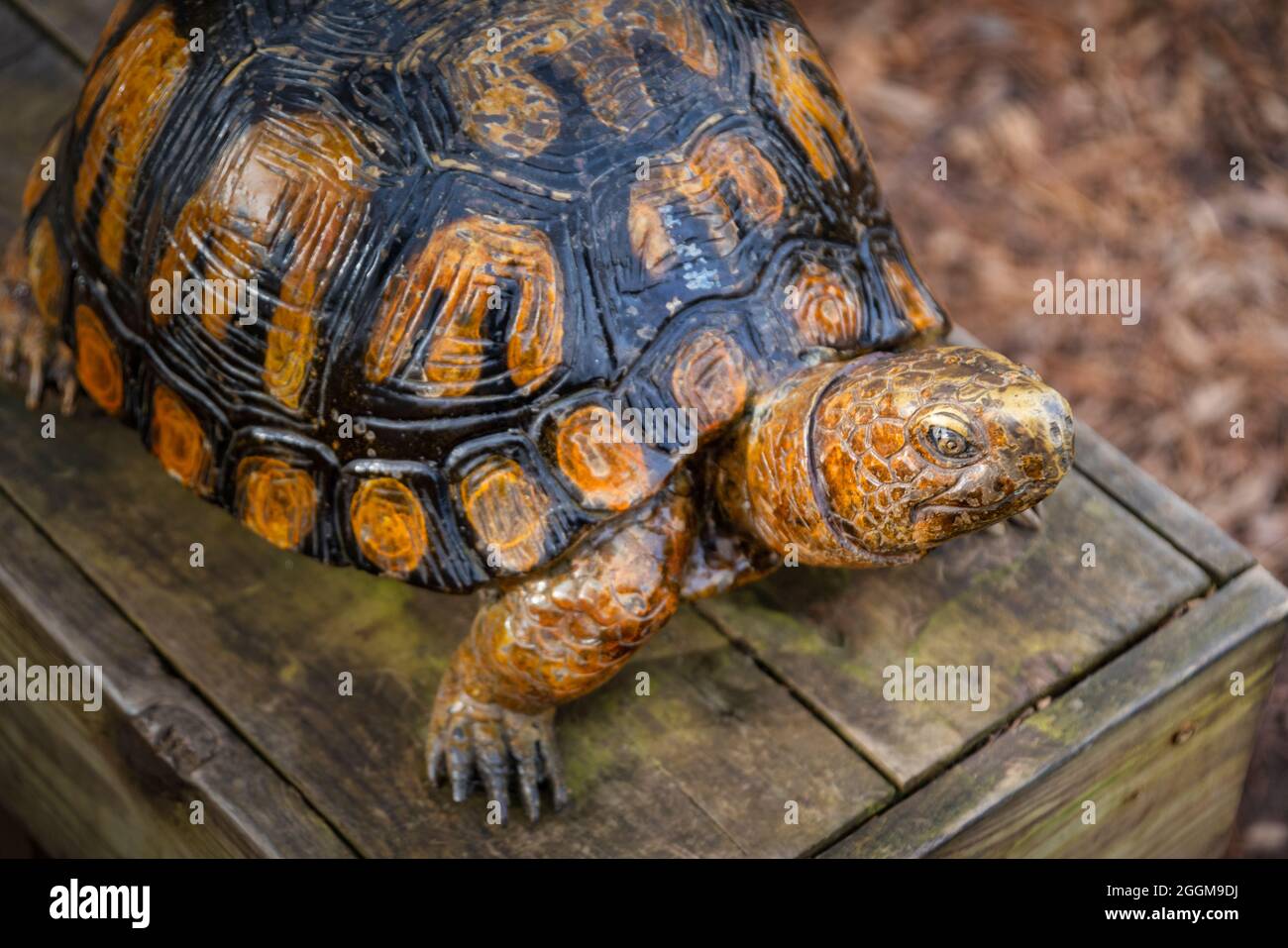 A sculpture of tortoise on a bench at the Western North Carolina Nature ...