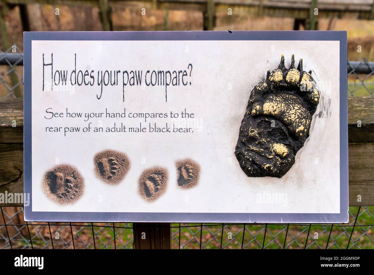 A hand to bear paw comparison sign at the Western North Carolina Nature ...