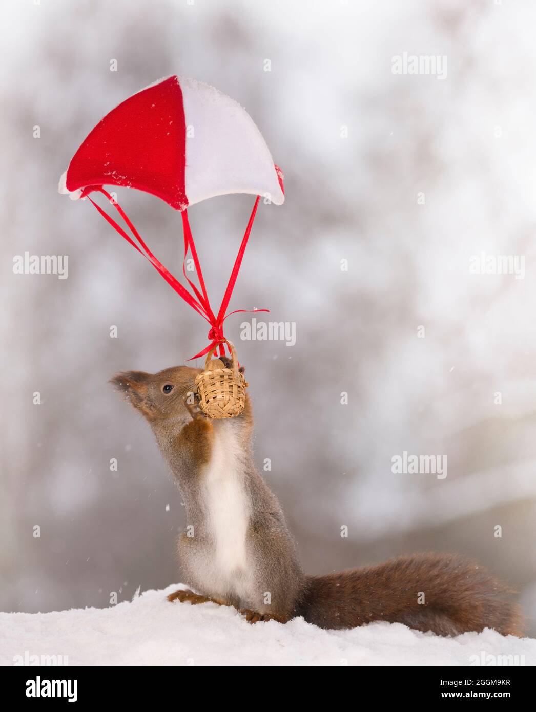 Parachute basket hi-res stock photography and images - Alamy