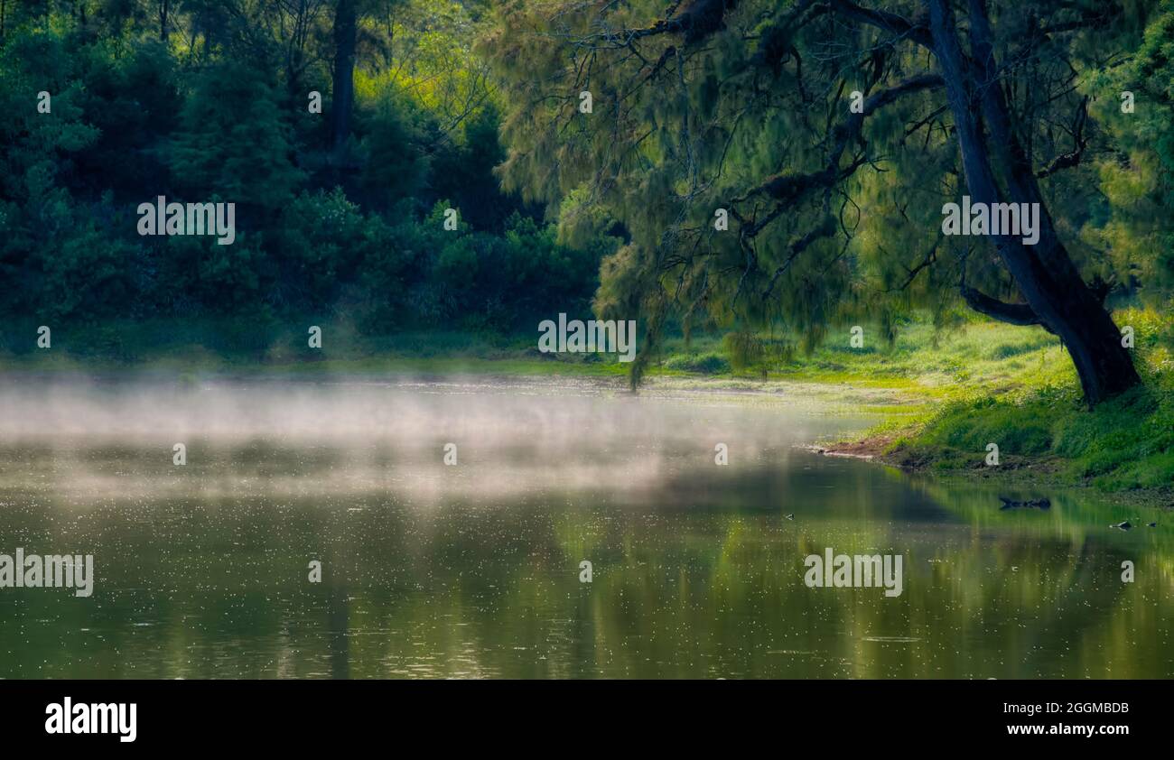 Ranu Pane or Ranupane is a volcanic lake in Ranu Pane Village, Senduro ...