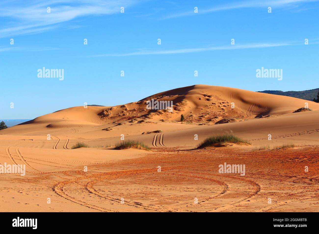 Pink coral sands state park hi-res stock photography and images - Alamy