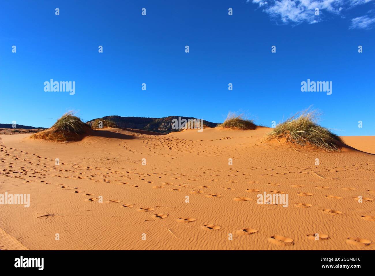 Coral Pink Sand Dunes in Arizona Stock Photo - Alamy