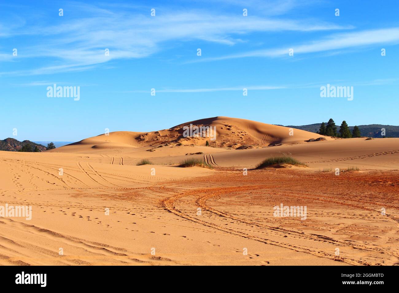 Pink coral sands state park hi-res stock photography and images - Alamy
