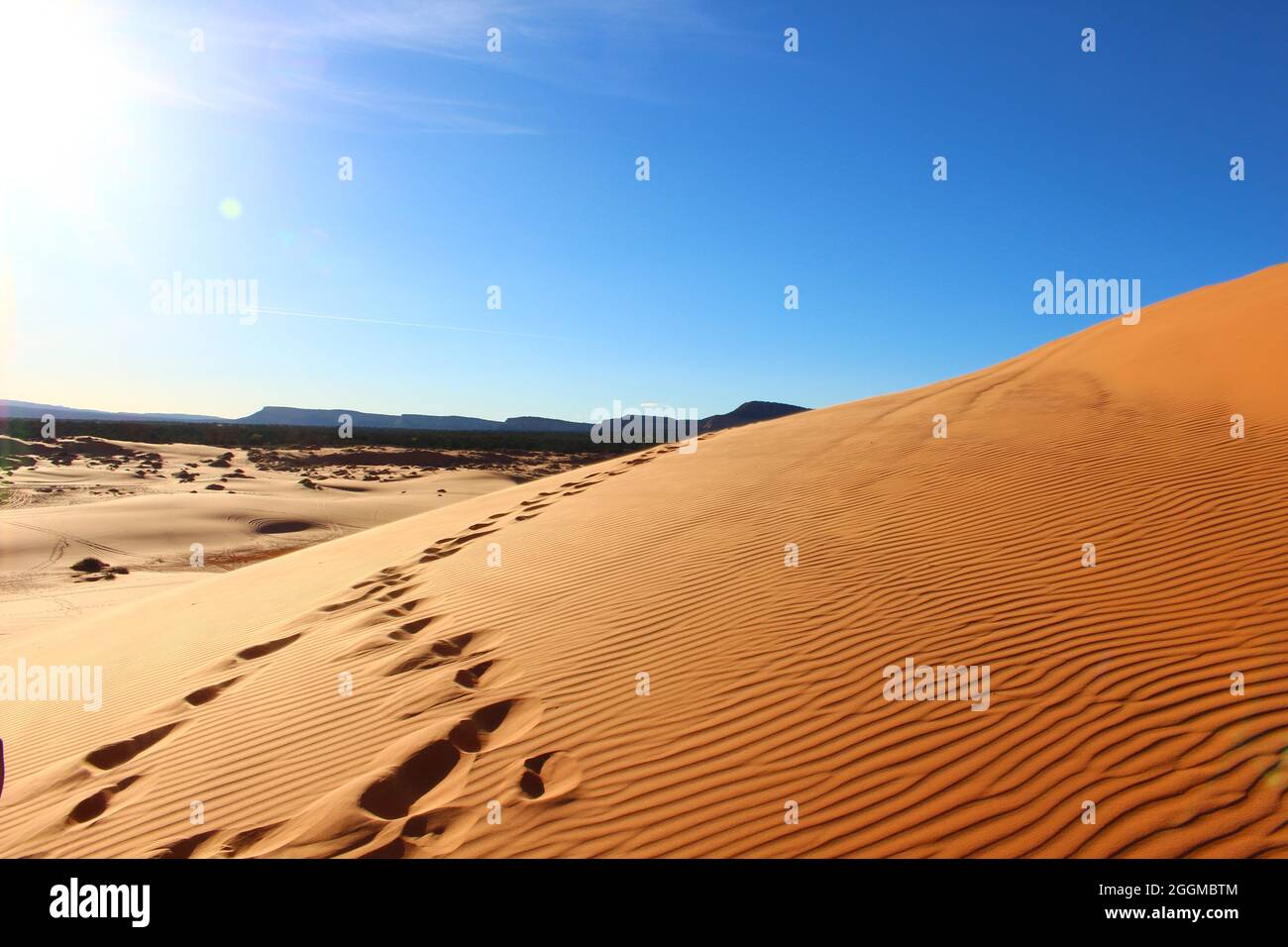 Coral Pink Sand Dunes in Arizona Stock Photo - Alamy