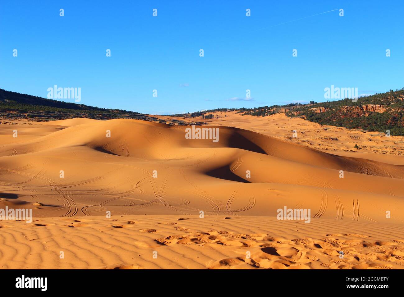 Coral Pink Sand Dunes in Arizona Stock Photo - Alamy