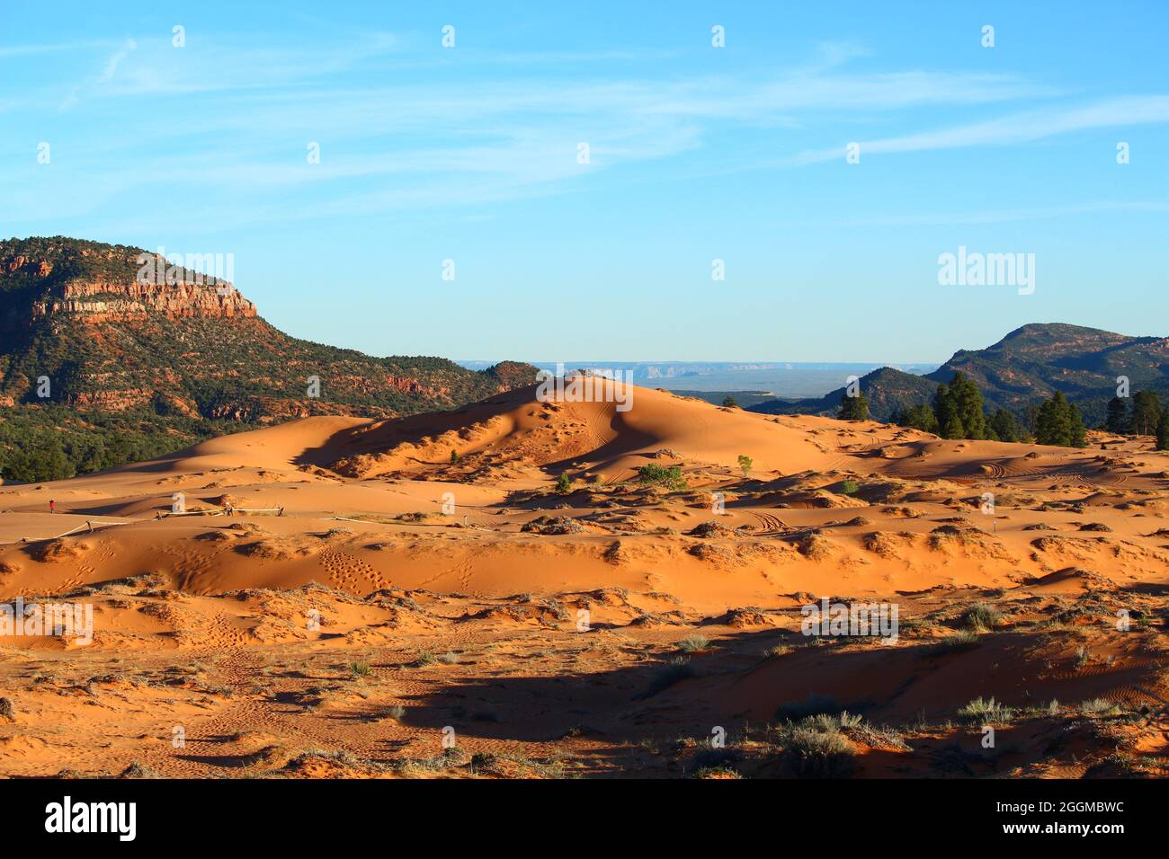 Pink coral sands state park hi-res stock photography and images - Alamy