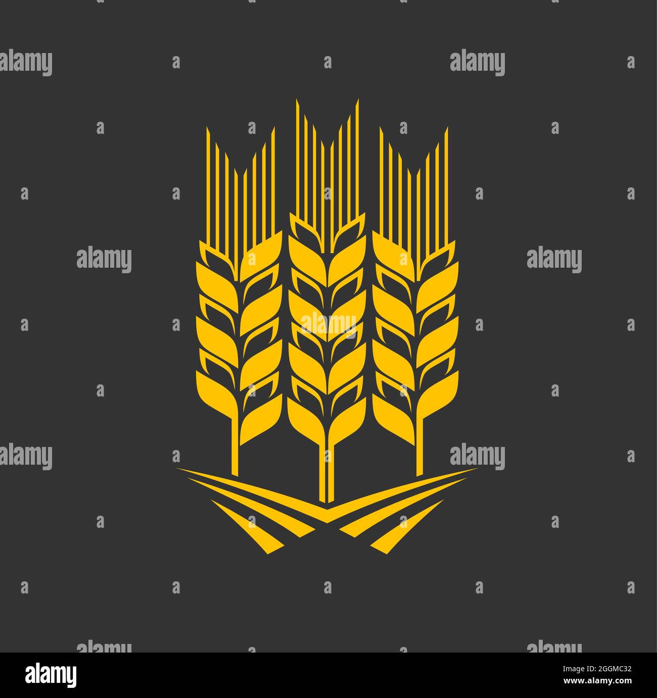 Golden millet Stock Vector Images - Alamy
