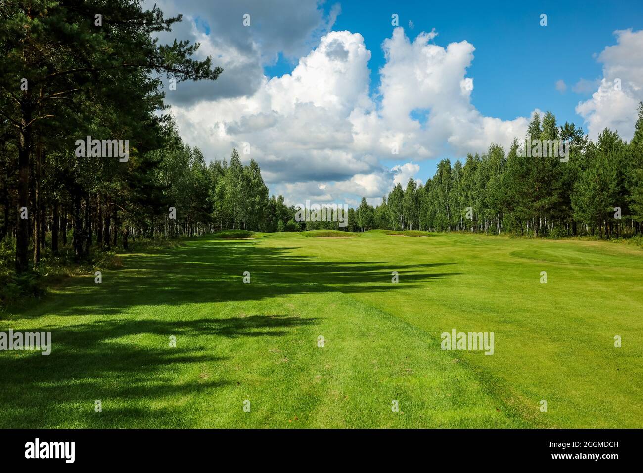 Golf Course Green Panorama