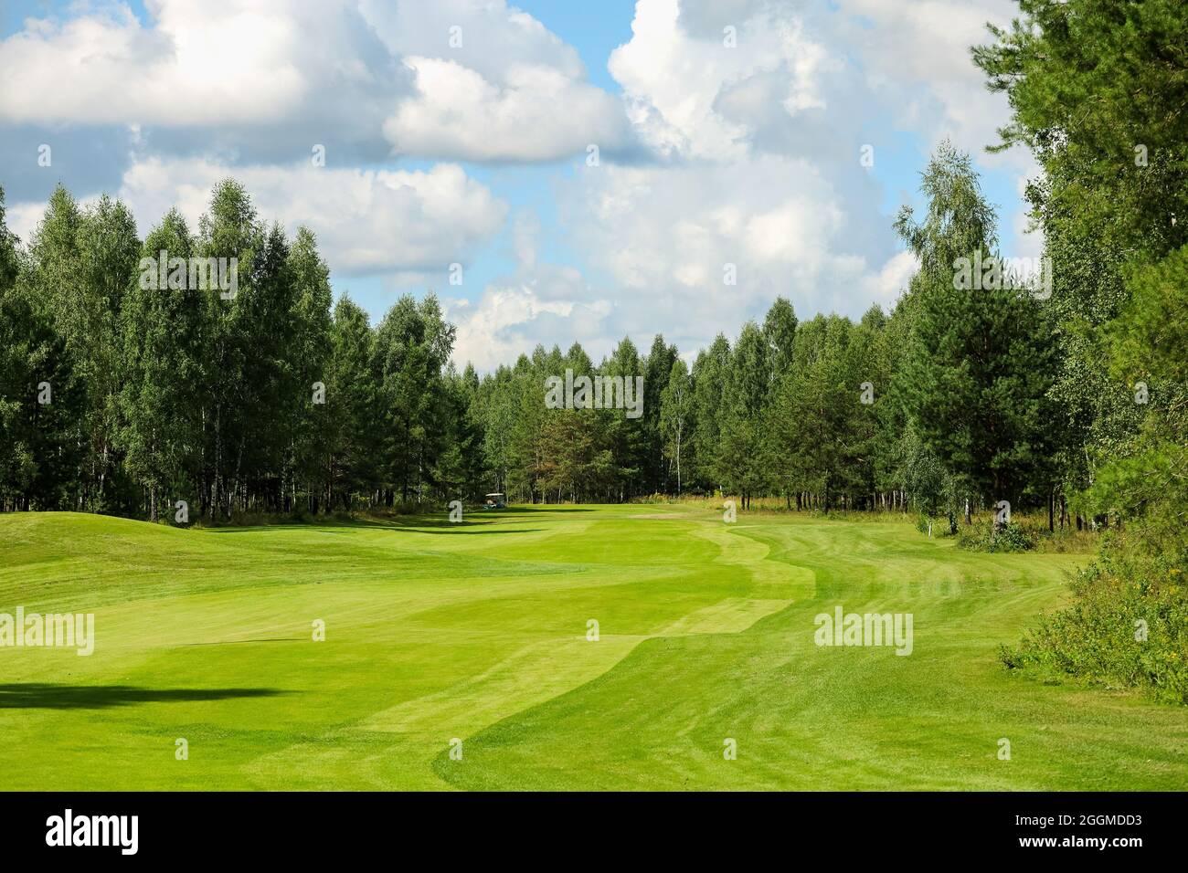 Golf course, landscape, green grass on the background of the forest and ...