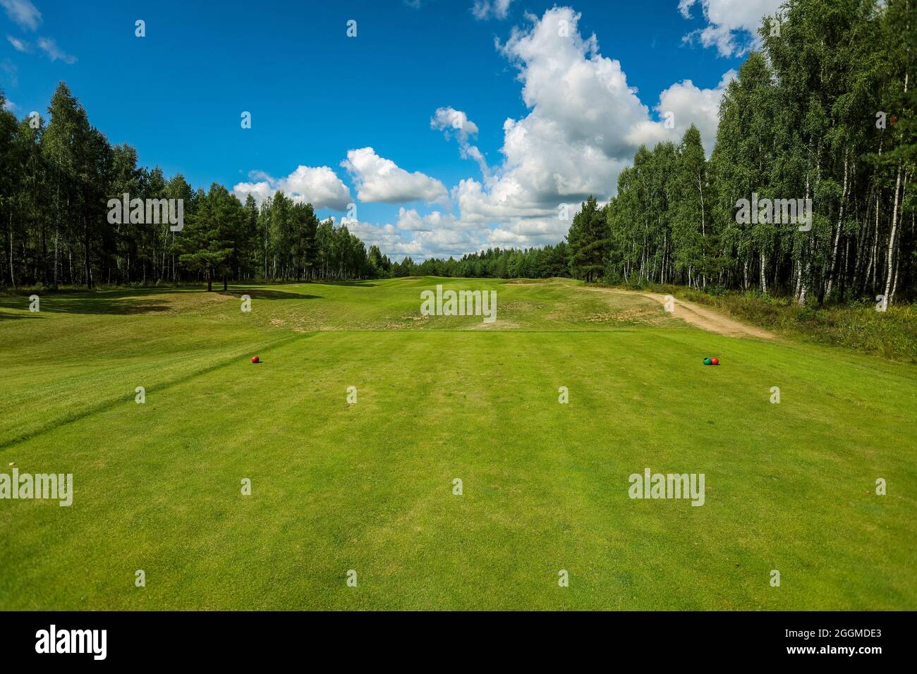 Golf course, landscape, green grass on the background of the forest and ...