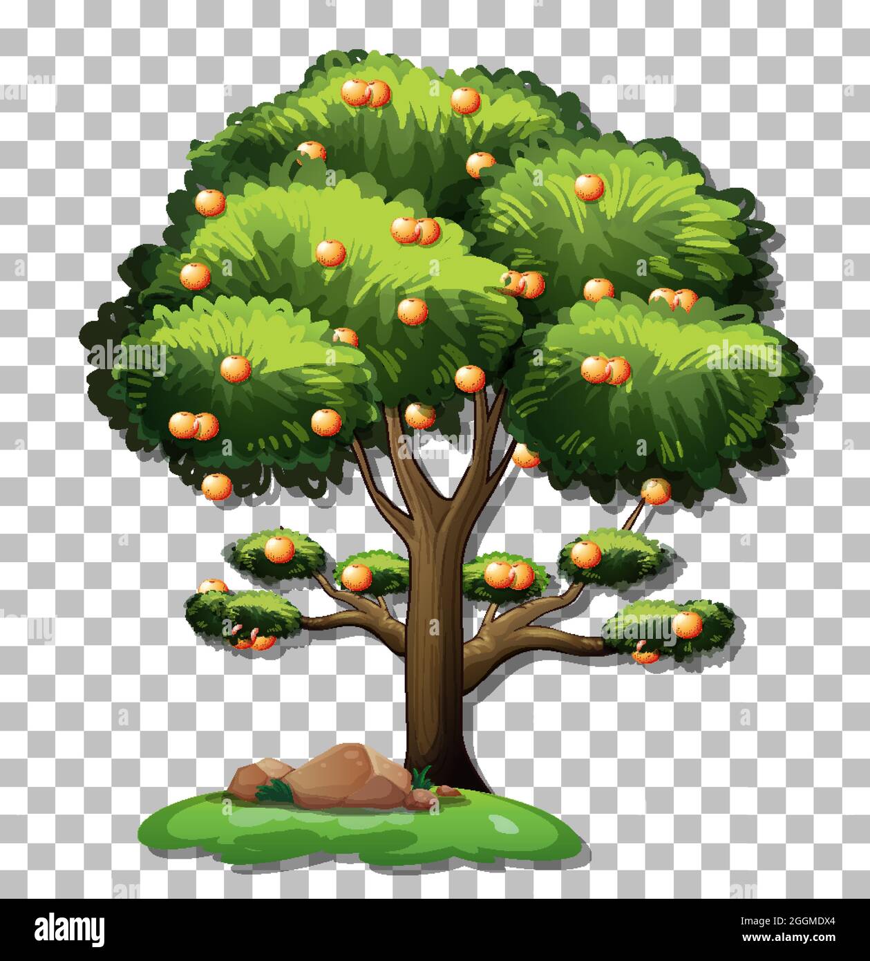 Orange tree on transparent background illustration Stock Vector Image ...