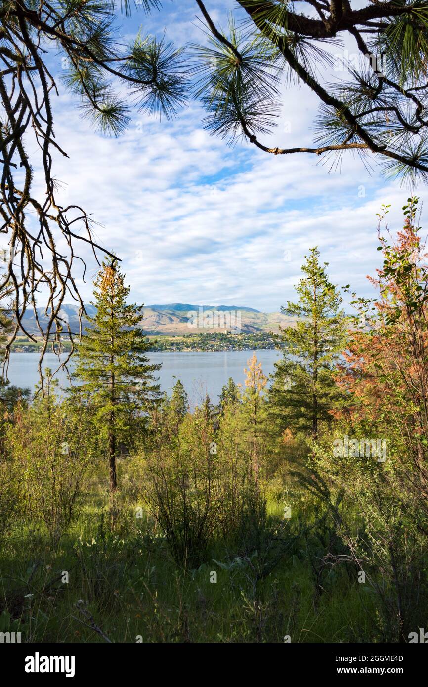 Lake chelan state park washington hi-res stock photography and images ...