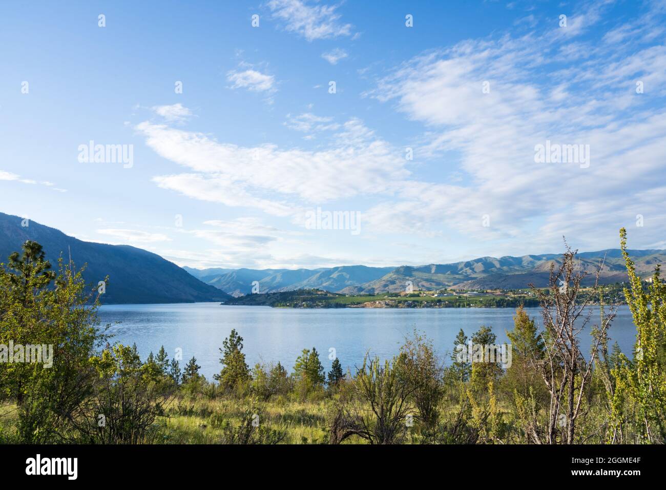 View over Lake Chelan and mountains from open forest in Lake Chelan ...