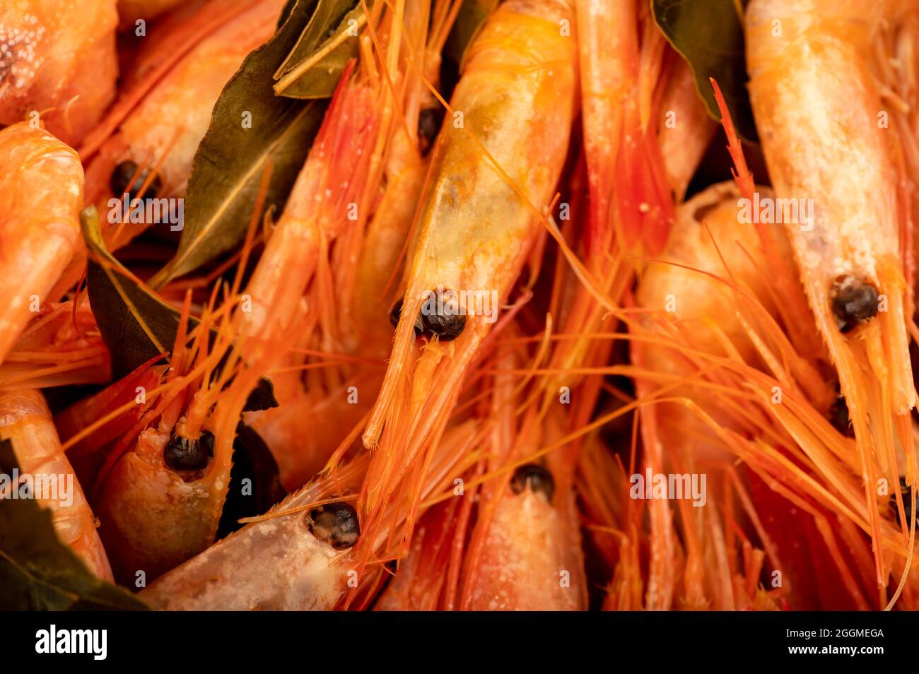 Atlantic shrimp cooked with allspice and bay leaf close-up, surface ...