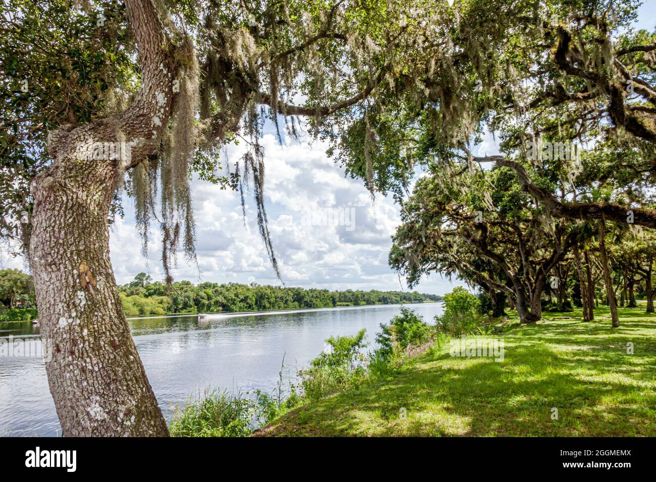 Florida La Belle,Caloosahatchee River,Bob Mason Waterfront Park,live ...