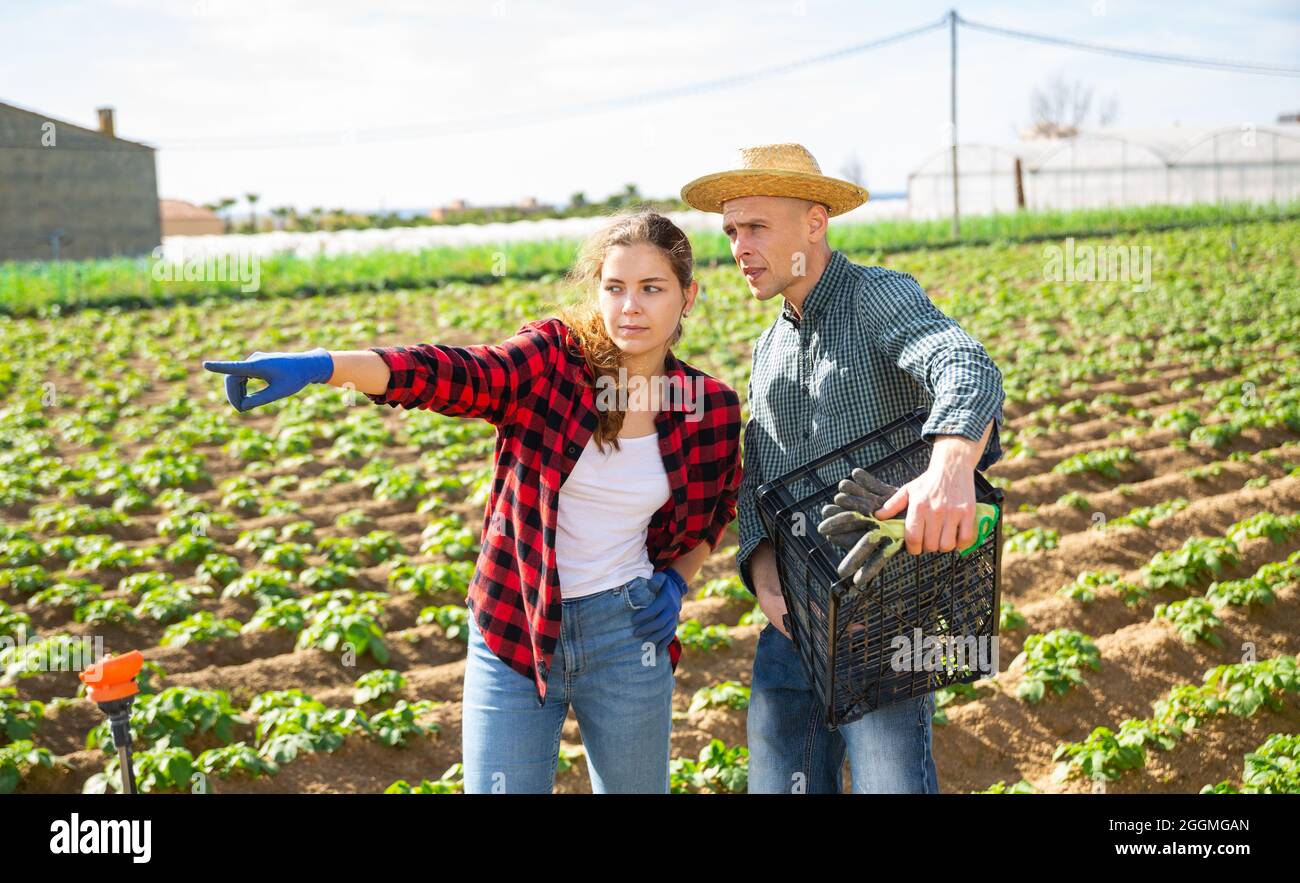Farm workers talking together in field Stock Photo - Alamy