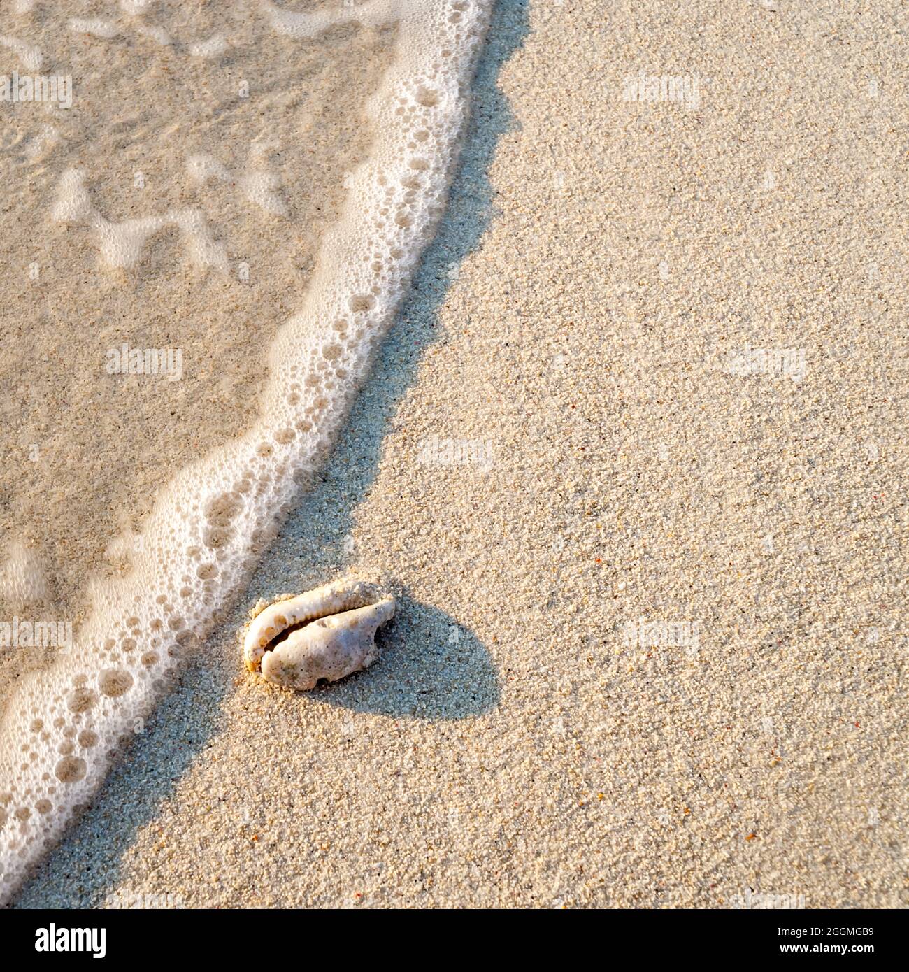 White sand shoreline hi-res stock photography and images - Alamy