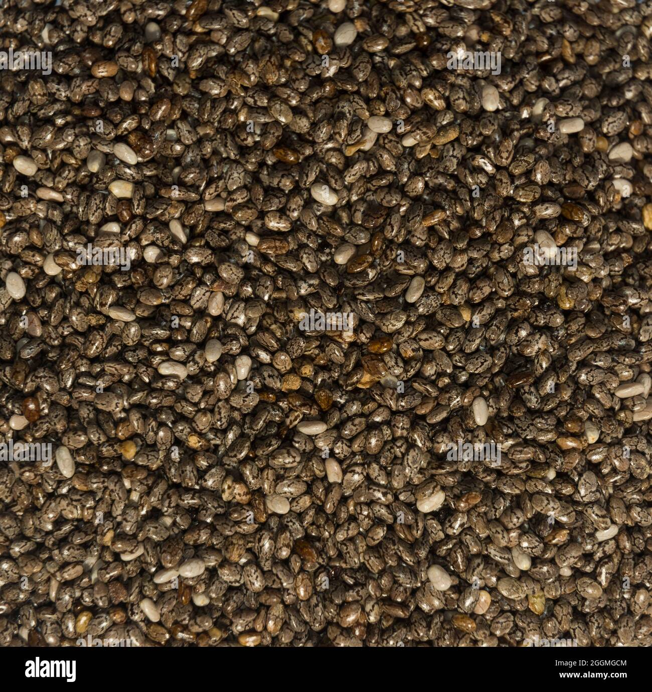 Color and detail of chia seeds hi-res stock photography and images - Alamy