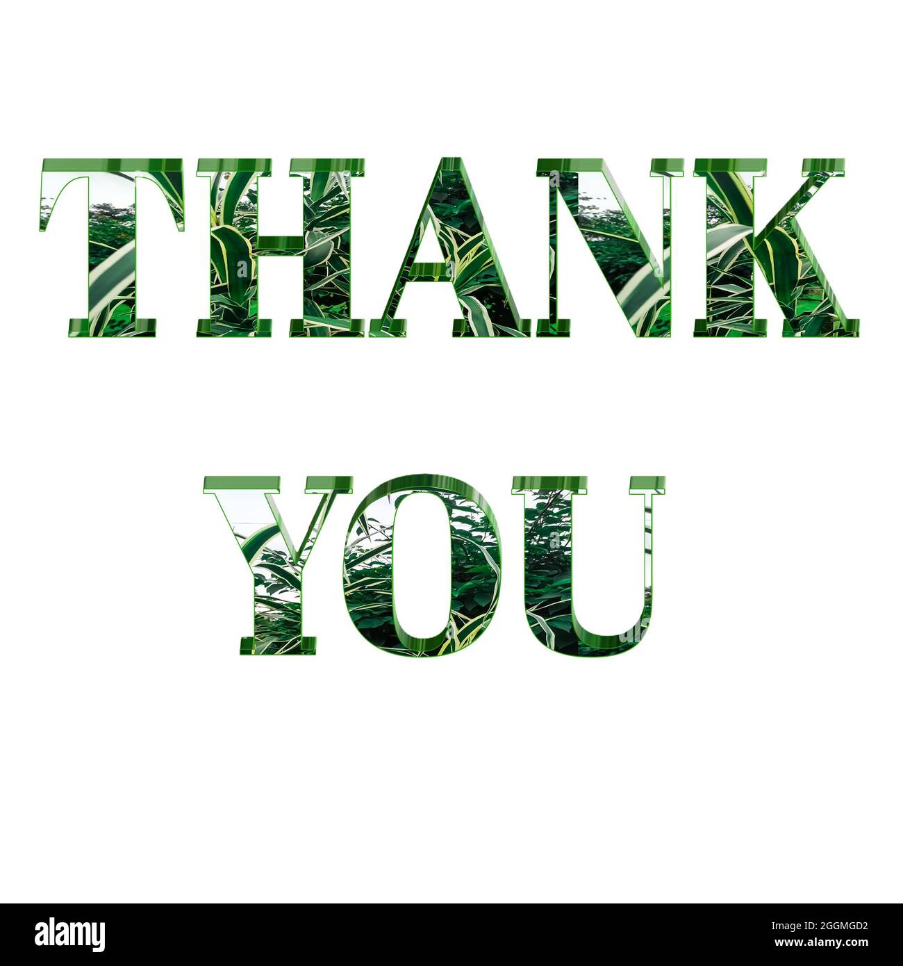 Thank you letters 3d colorful white background Stock Photo - Alamy