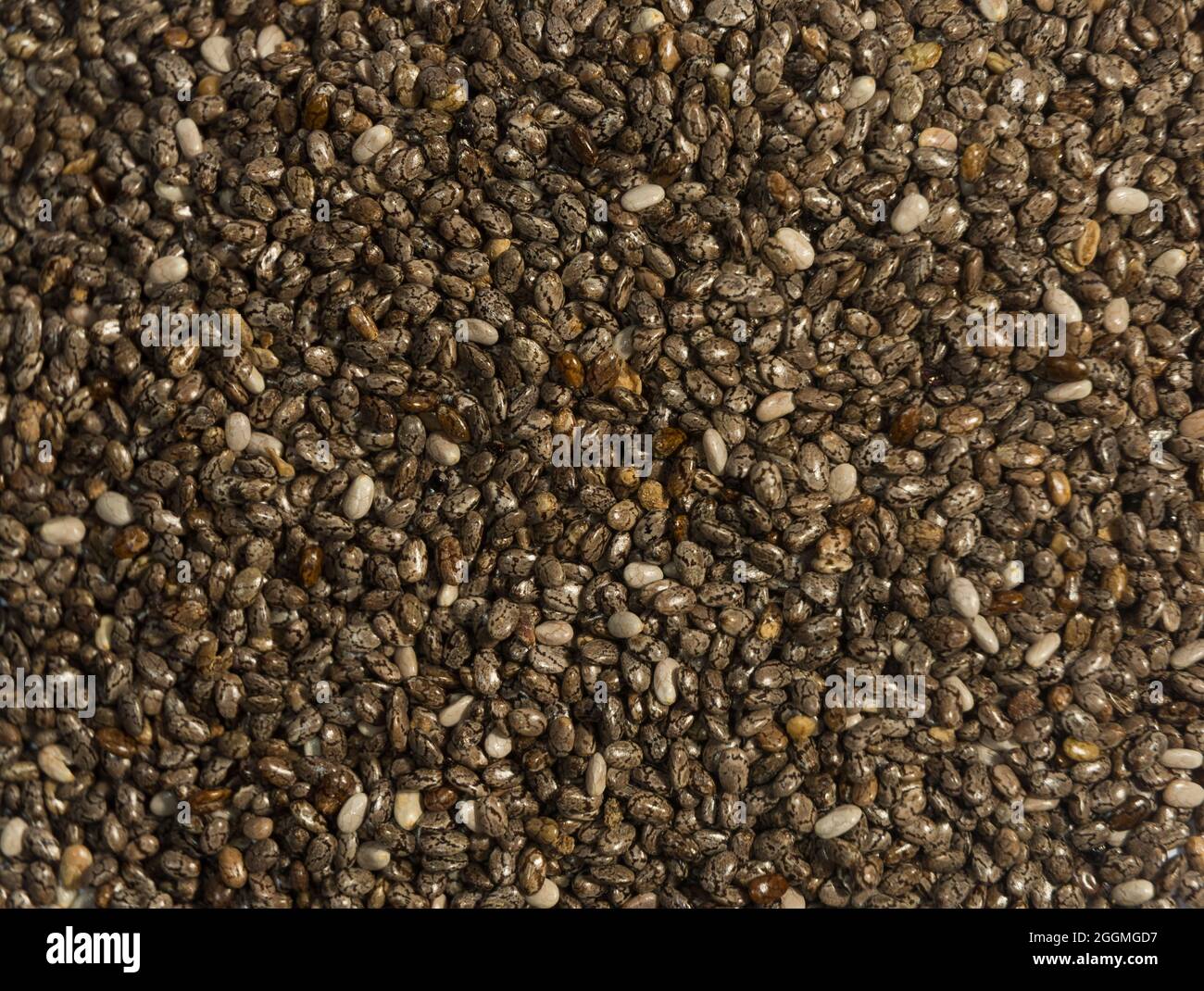 Color and detail of chia seeds hi-res stock photography and images - Alamy