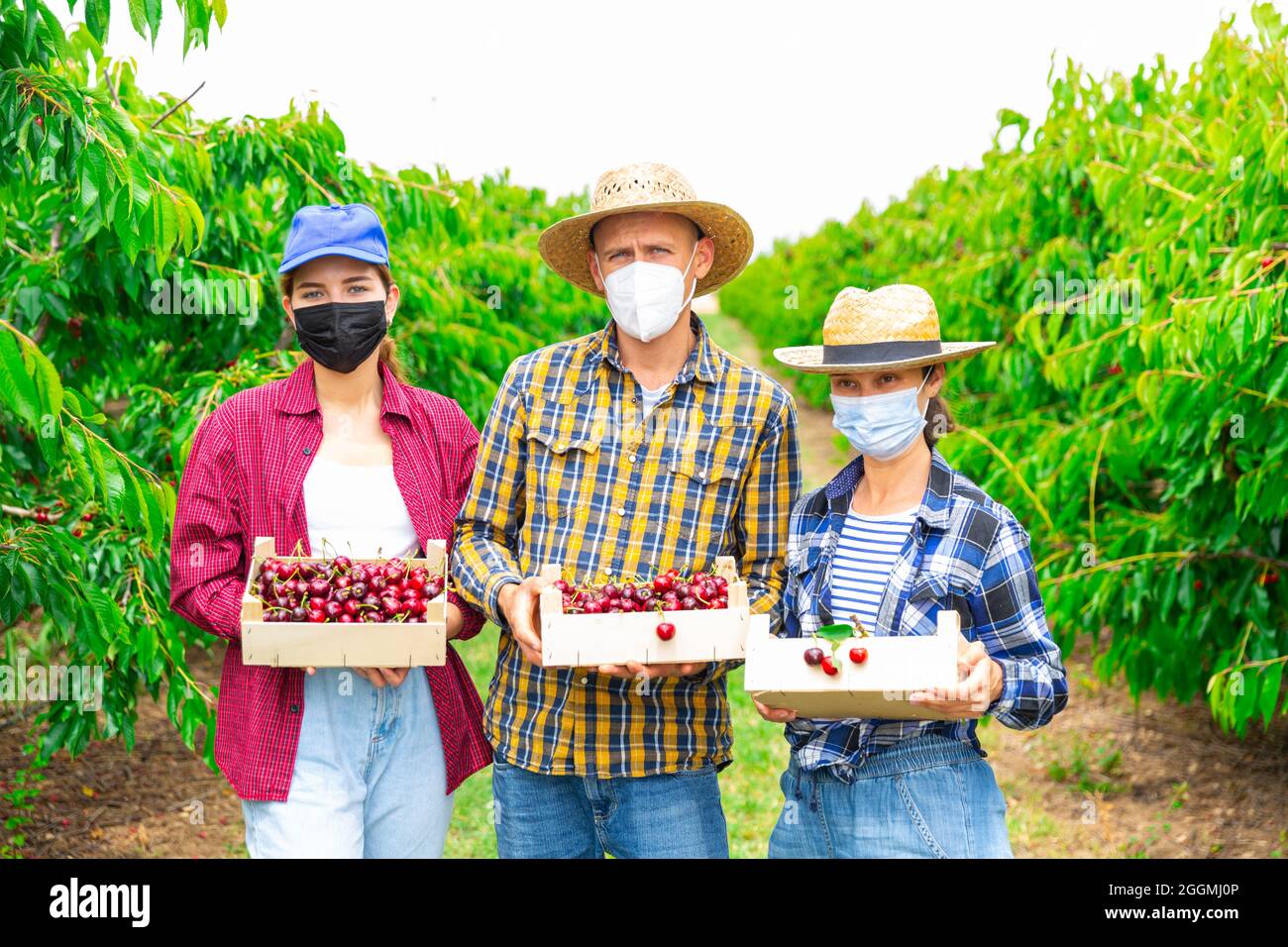 Man in garden holding face mask hi-res stock photography and images - Alamy