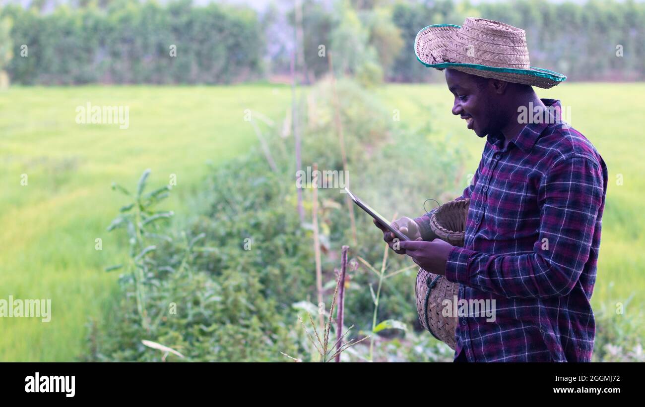 African farmer is happily working on his farm with using tablet ...