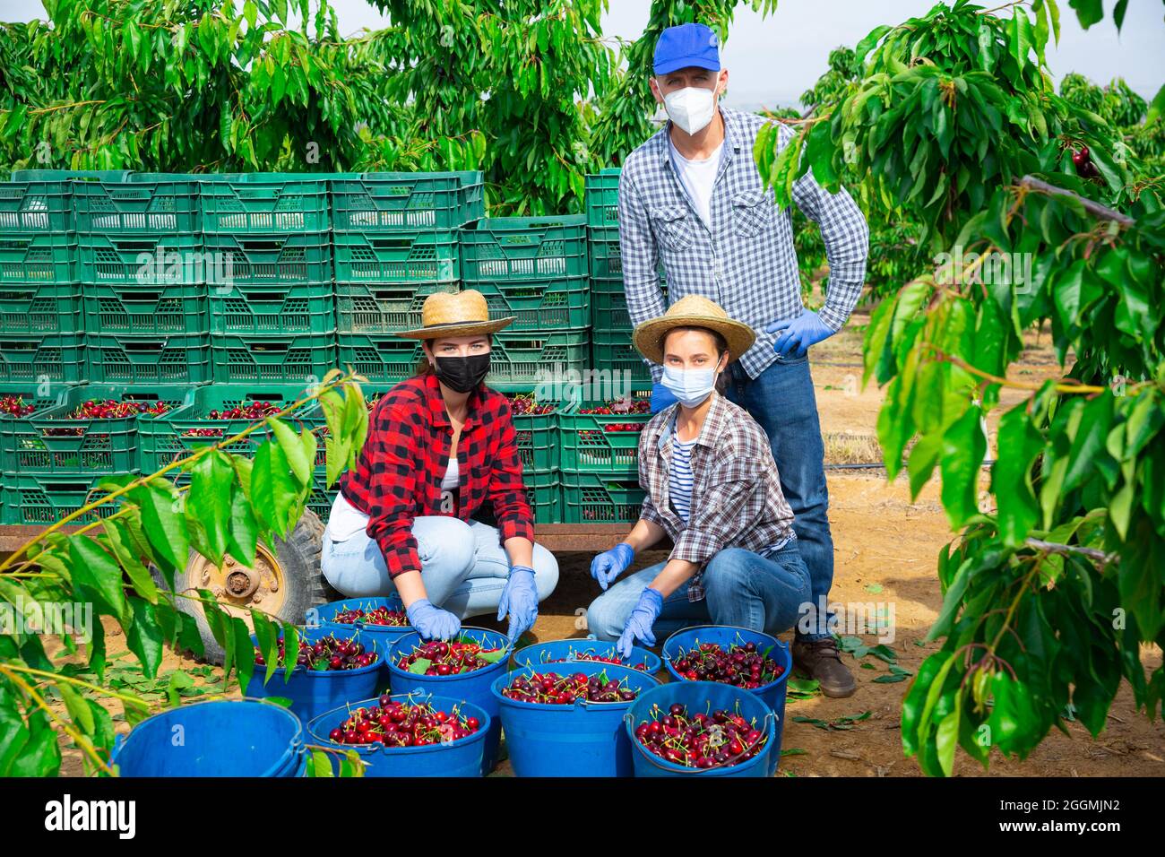 Man in garden holding face mask hi-res stock photography and images - Alamy