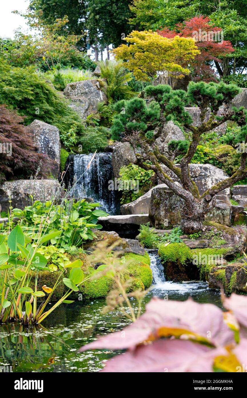 The waterfall at RHS Wisley, during mid summer Stock Photo - Alamy
