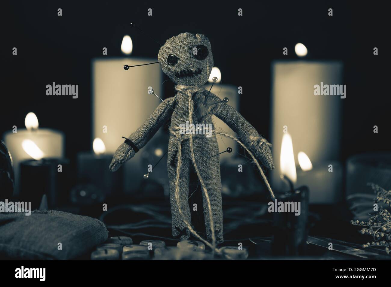 Voodoo Magic concept. Voodoo doll studded with needles with pierced rag ...