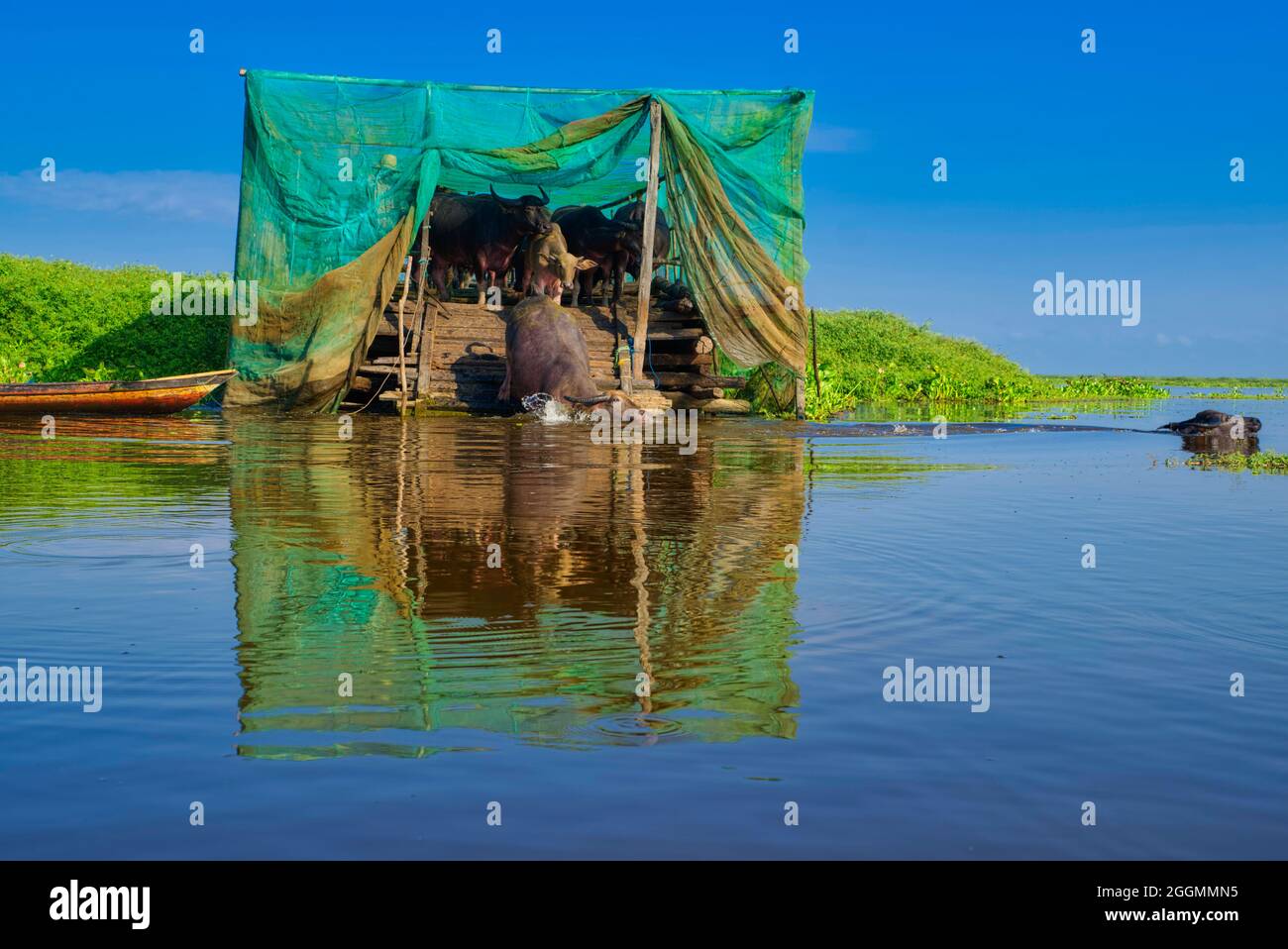 The floodplains and lowland swamp north of Kandangan make traditional ...