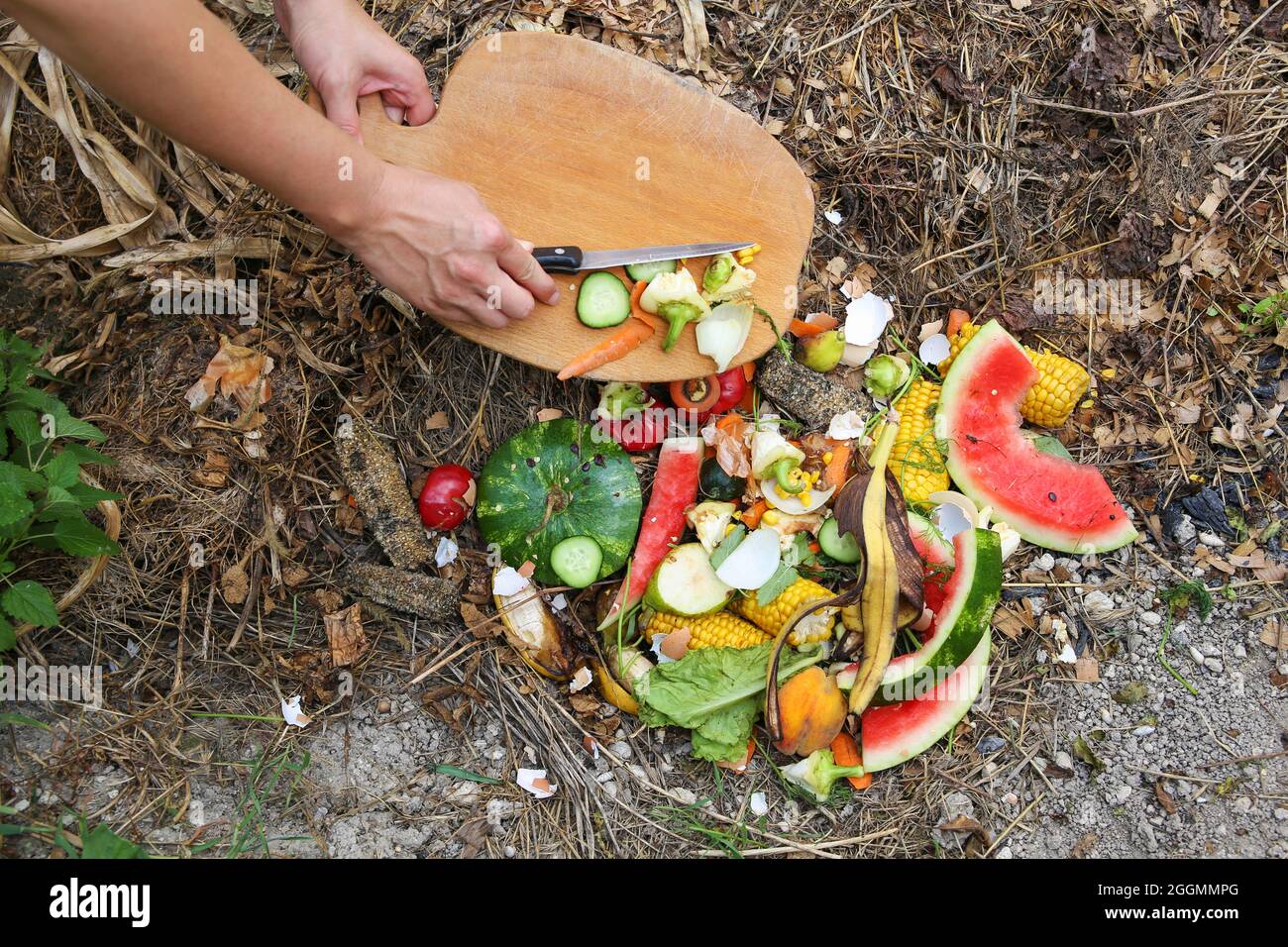 Domestic waste for compost from fruits and vegetables. Woman throws ...