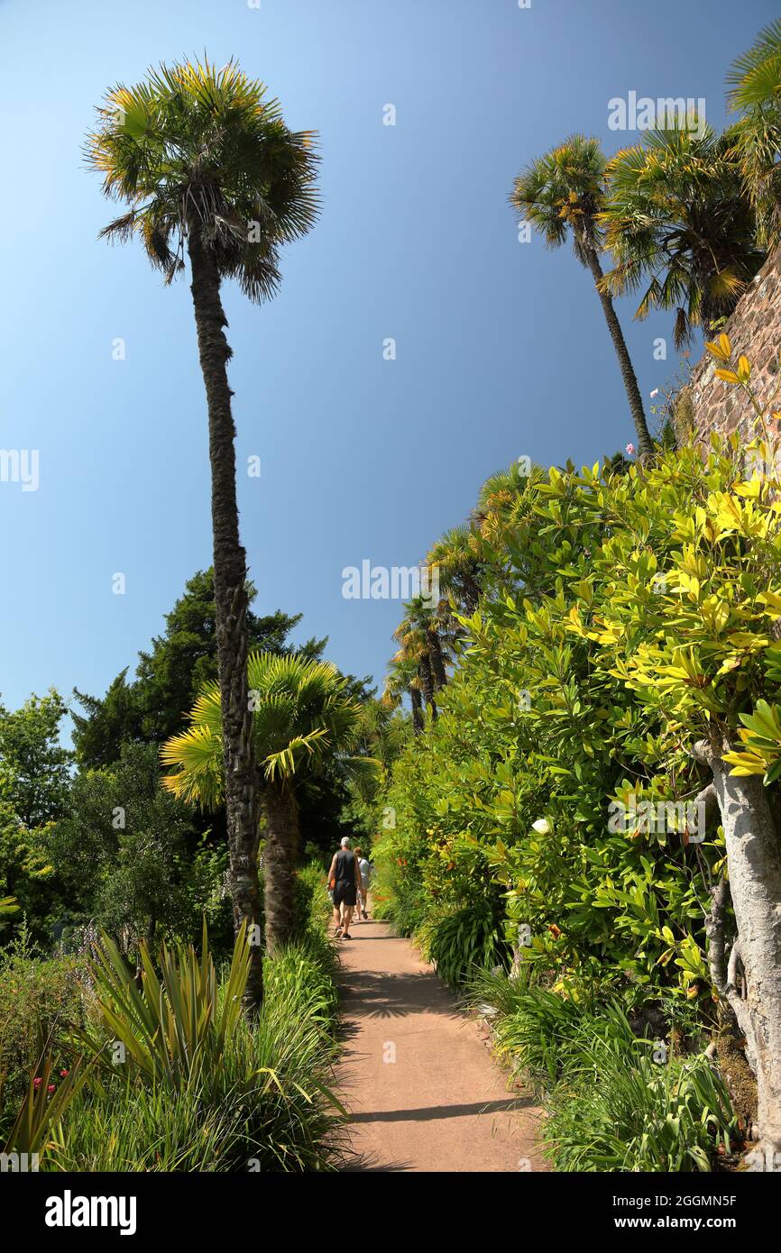 Dunster castle garden hi-res stock photography and images - Alamy