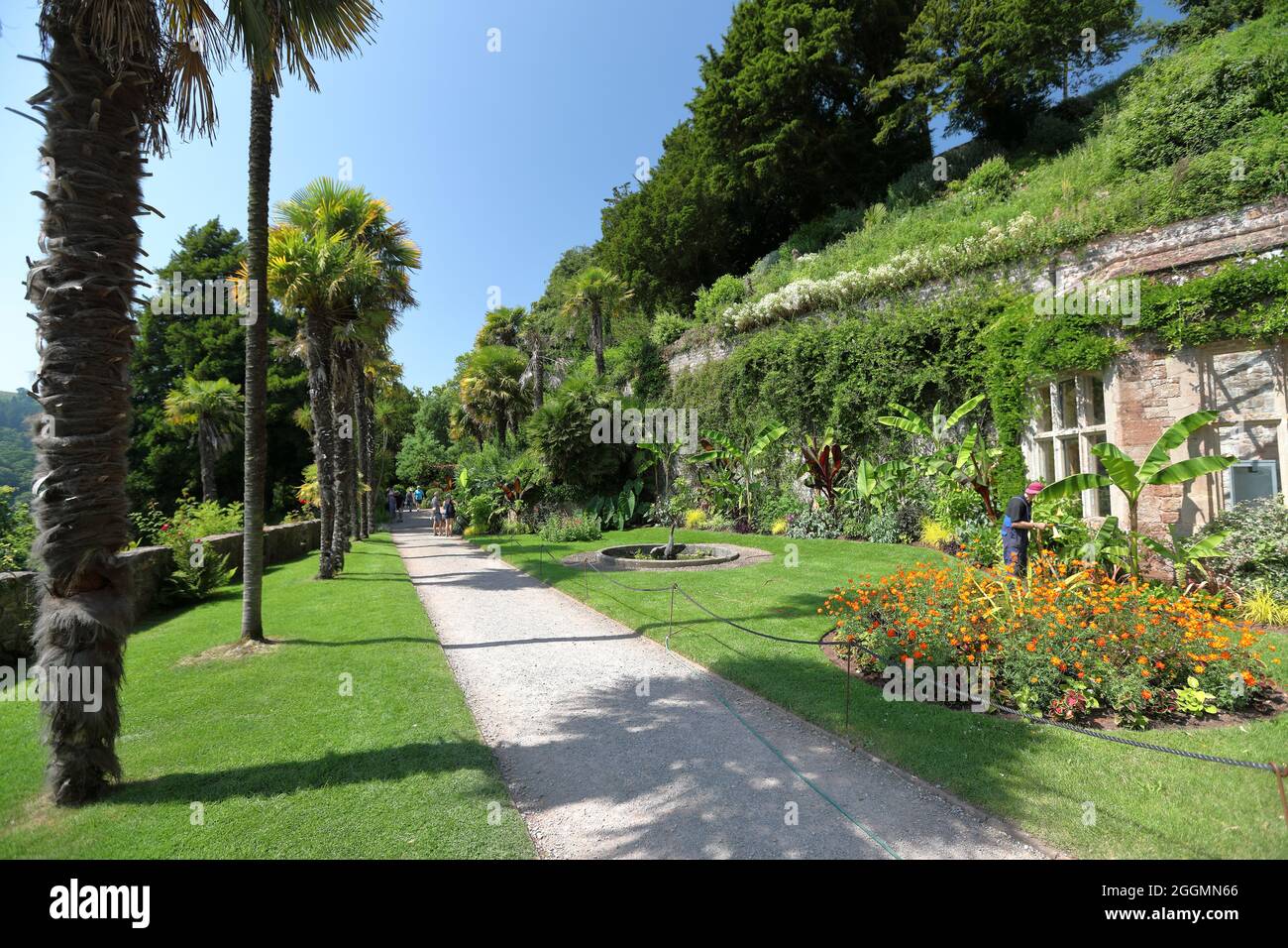 The South Terrace garden at Dunster Castle, Somerset, England, UK Stock ...