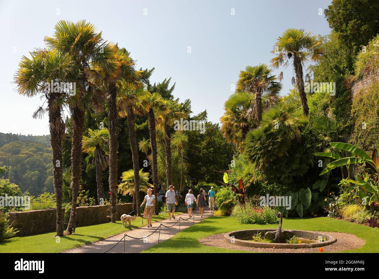 The South Terrace garden at Dunster Castle, Somerset, England, UK Stock ...
