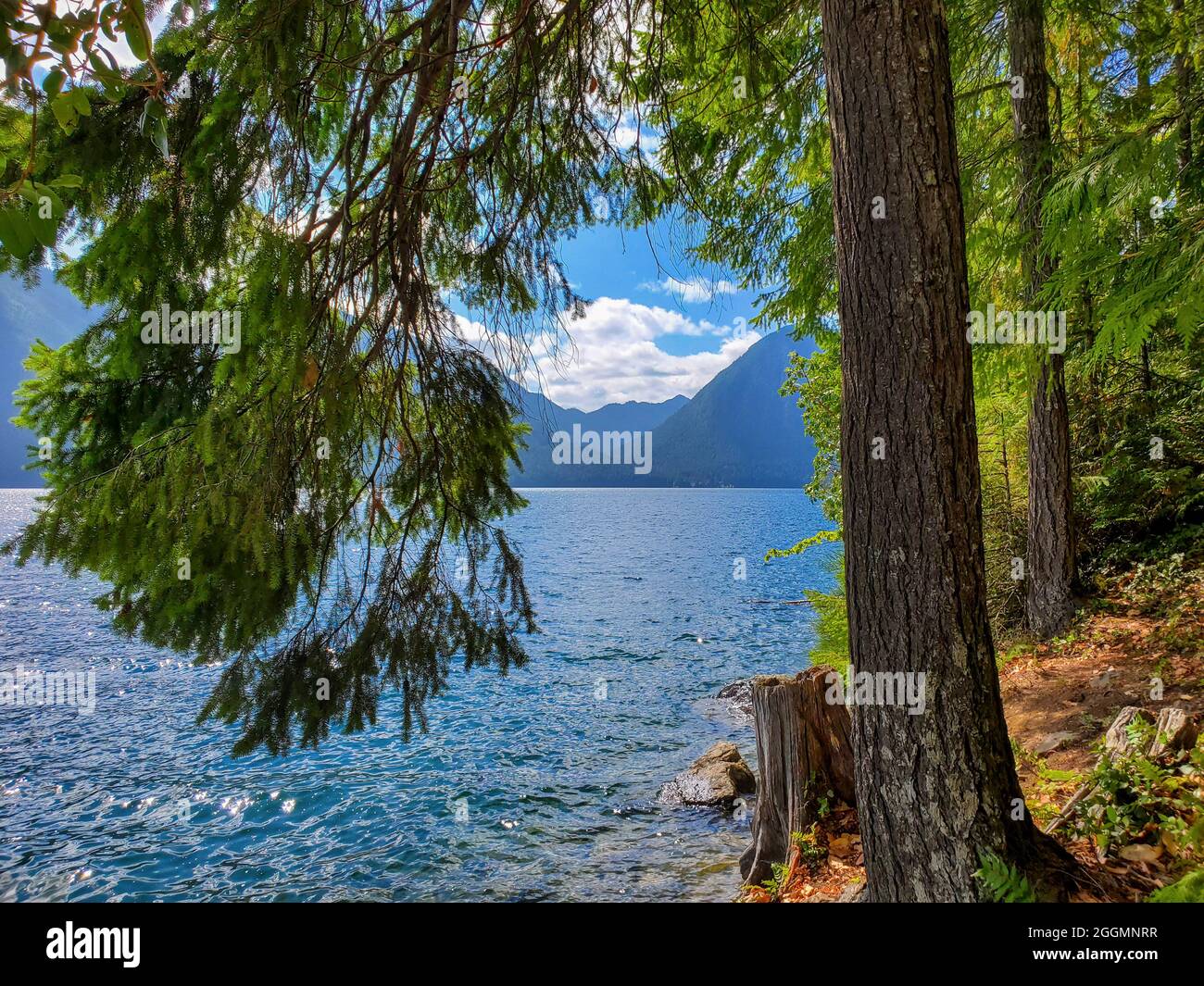 Lake Cushman and the Olympic Mountains Stock Photo - Alamy