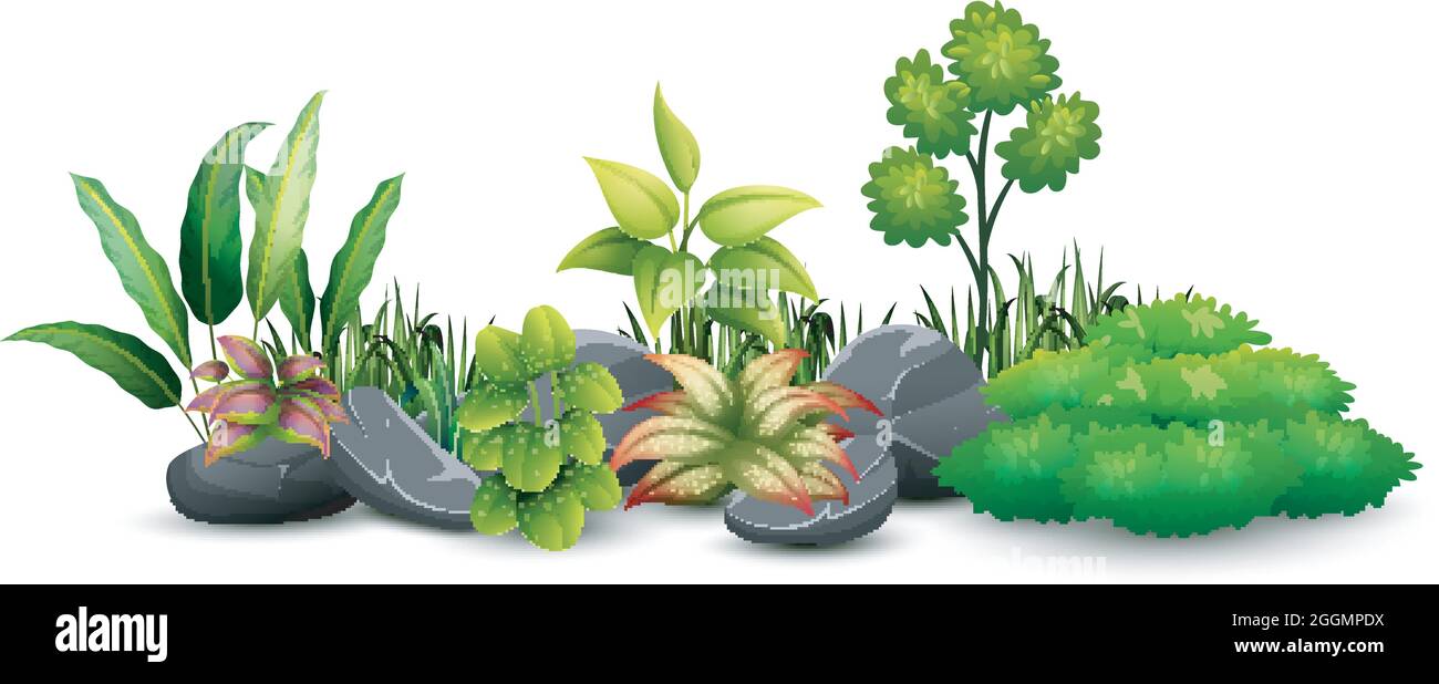 Spring natural landscape stone Stock Vector Images - Alamy