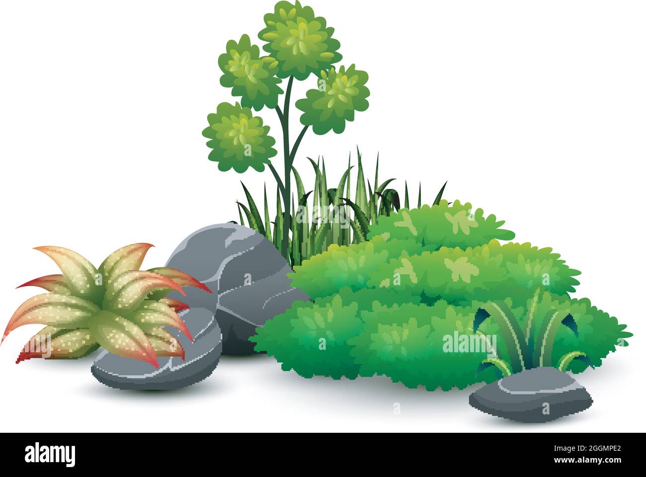 Little green plant botanical landscape Stock Vector Image & Art - Alamy