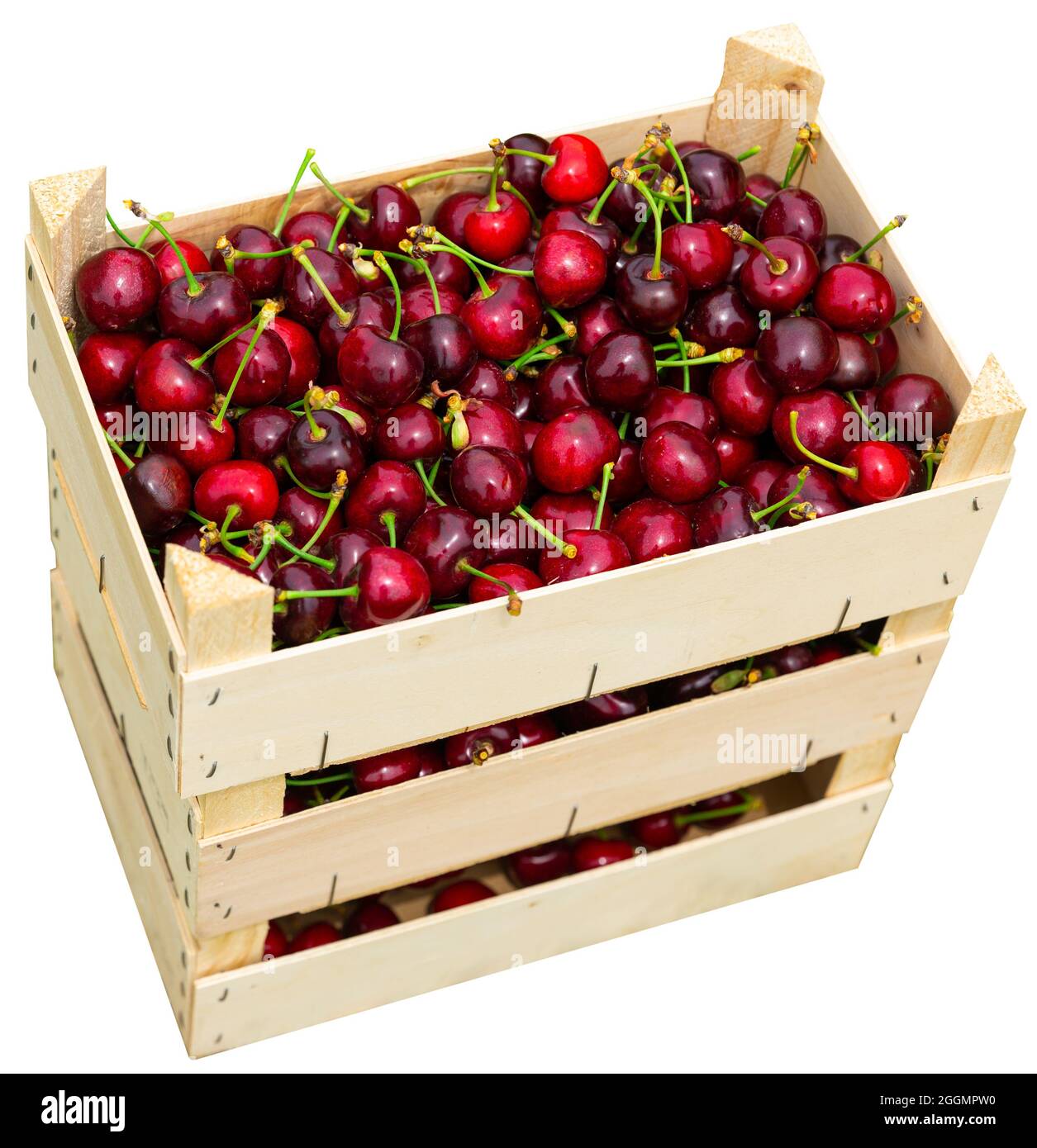 Freshly picked organic cherry in boxes Stock Photo - Alamy