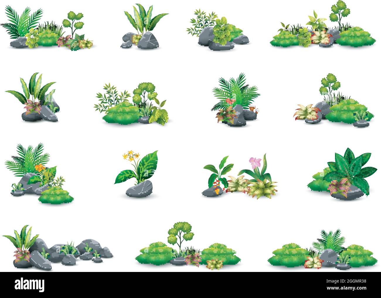 Collection of botanical small plants Stock Vector Image & Art - Alamy