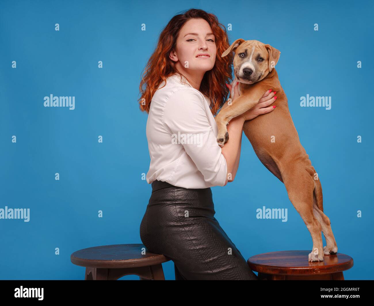 beautiful redhead woman with Cute puppy American Staffordshire Terrier ...