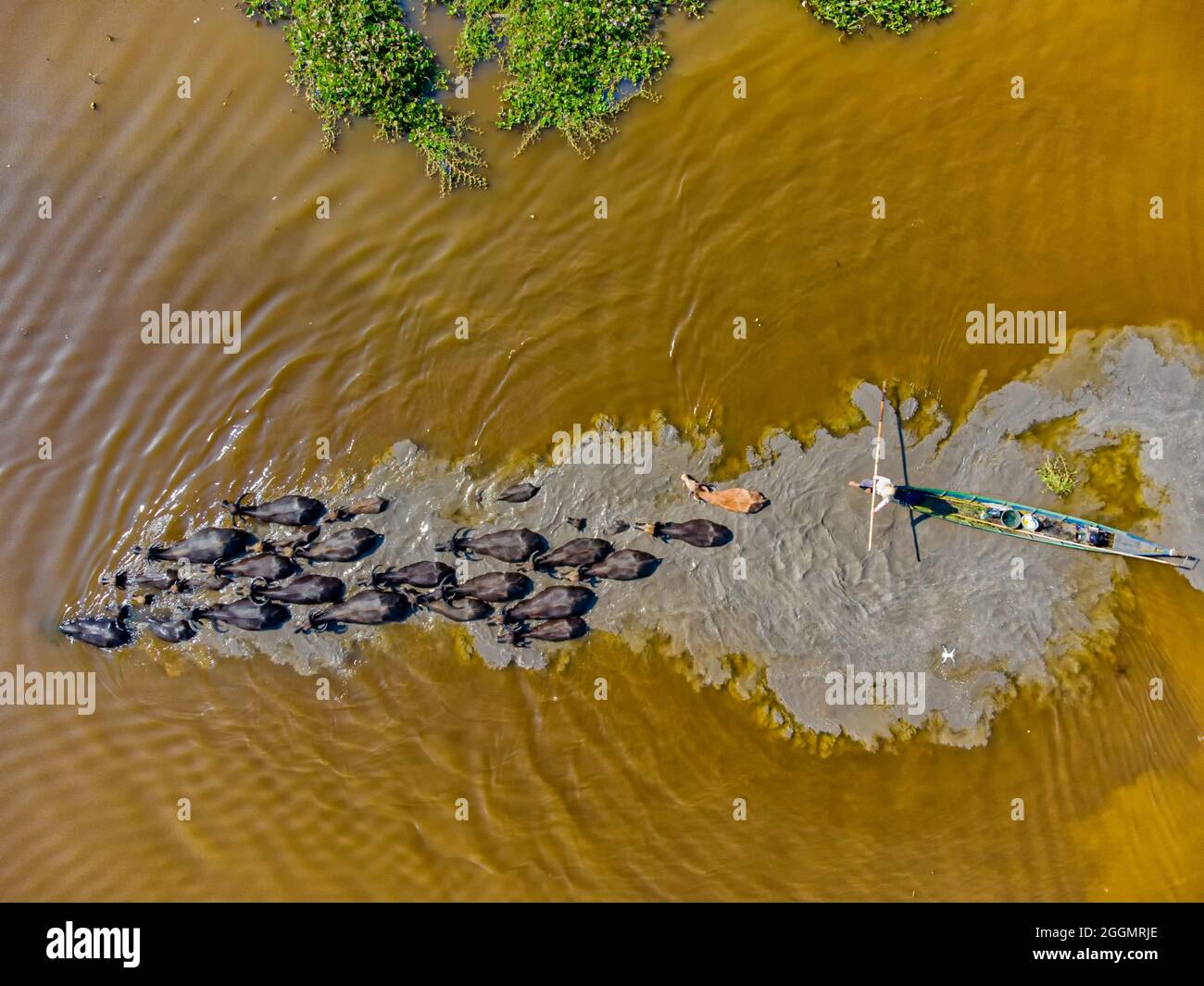 Man floating on back in hi-res stock photography and images - Alamy