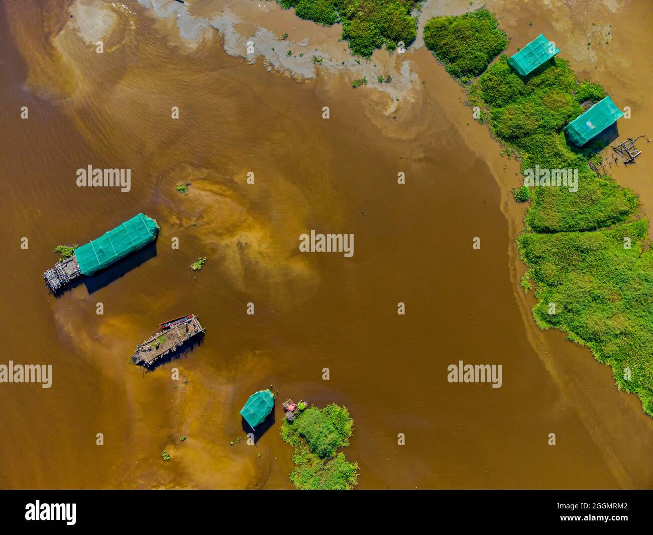 Swamp buffalo cages Taken @Nagara Daha, Kandangan, Kalsel Stock Photo ...