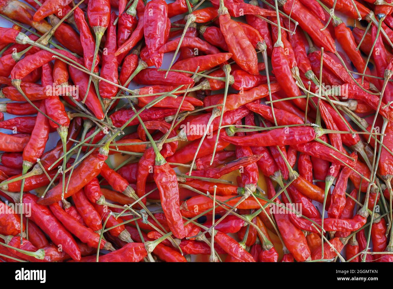 Red hot dried chilli nature texture background, dry Stock Photo - Alamy