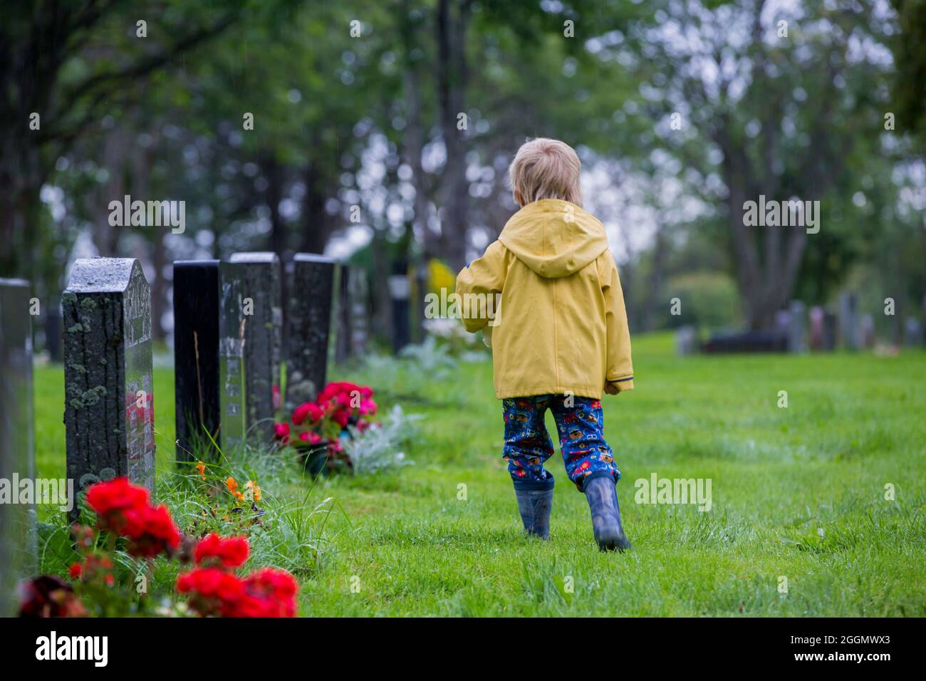 Sad little child, blond boy, standing in the rain on cemetery, sad ...
