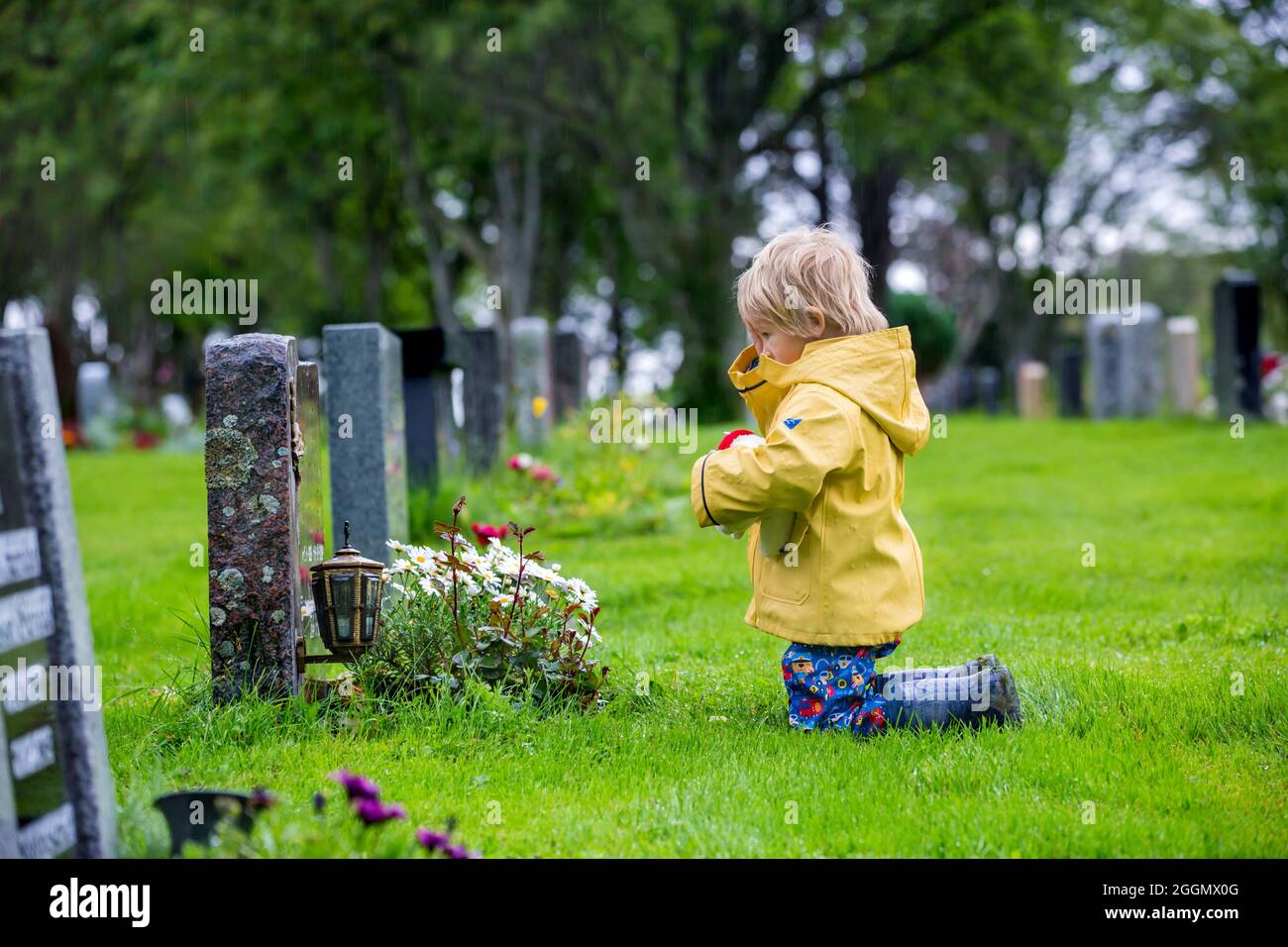 Sad little child, blond boy, standing in the rain on cemetery, sad ...