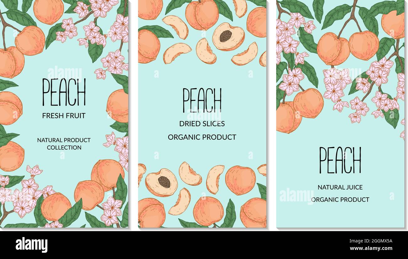 Vertical piece Stock Vector Images - Alamy