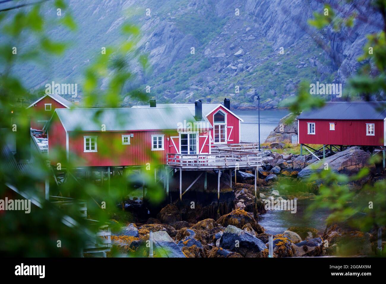 Typical Rourbuer fishing cabins in Lofoten village Nusfjord on a rainy ...