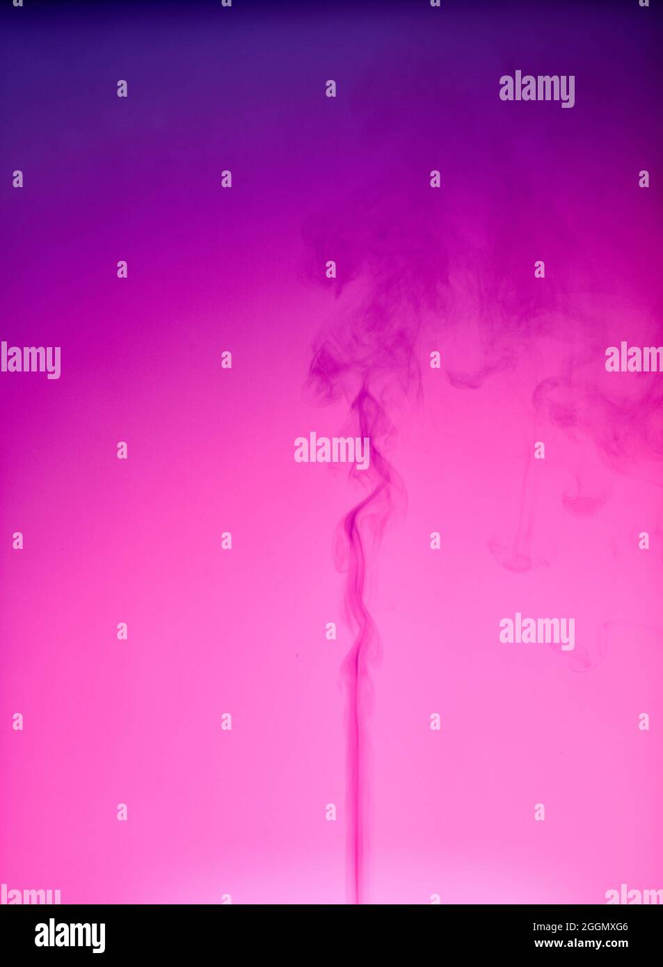 Smoke rising from diffuser with red blue purple neon gradient light ...